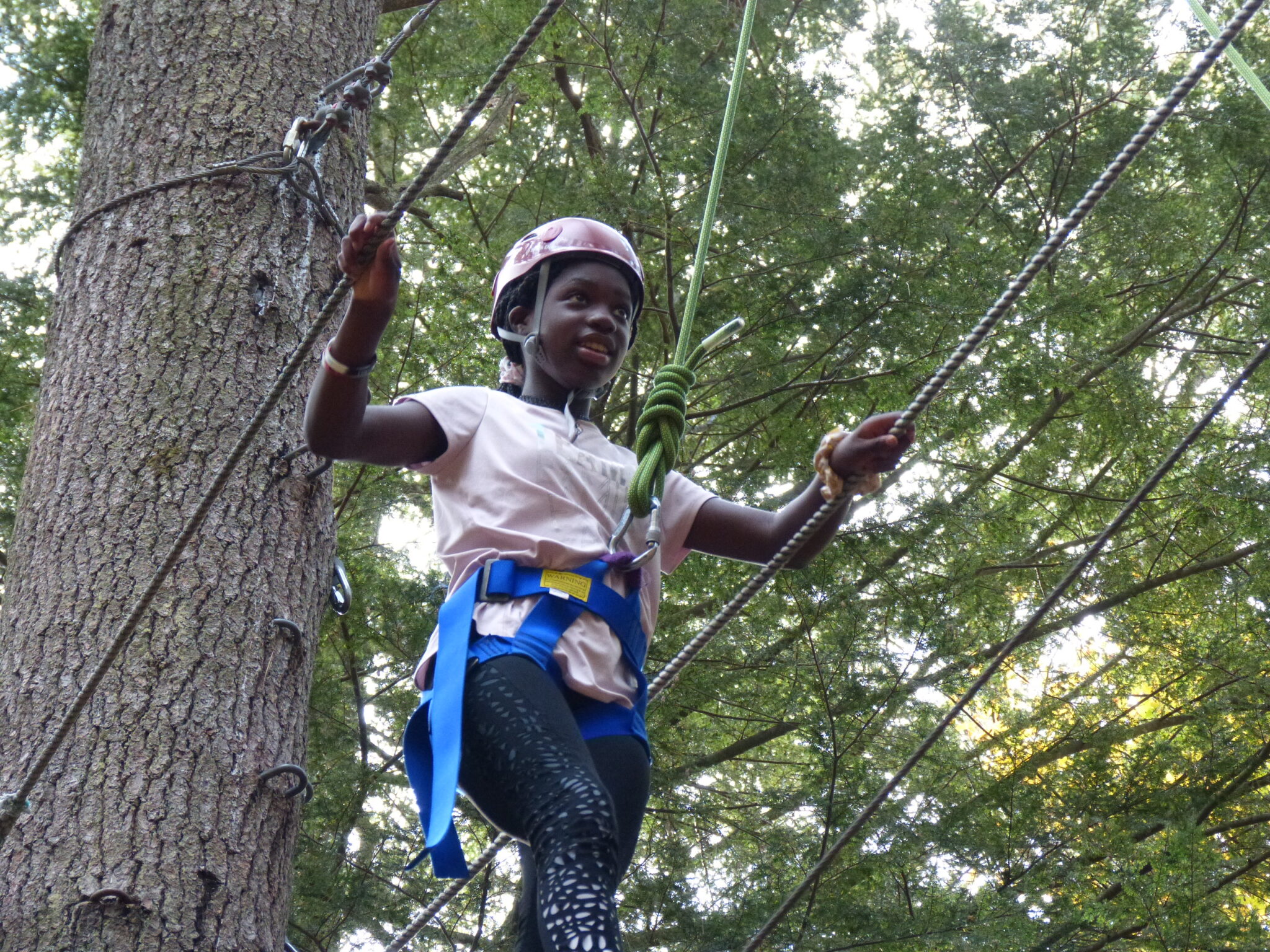 Support High 5 - High 5 Adventure Learning Center