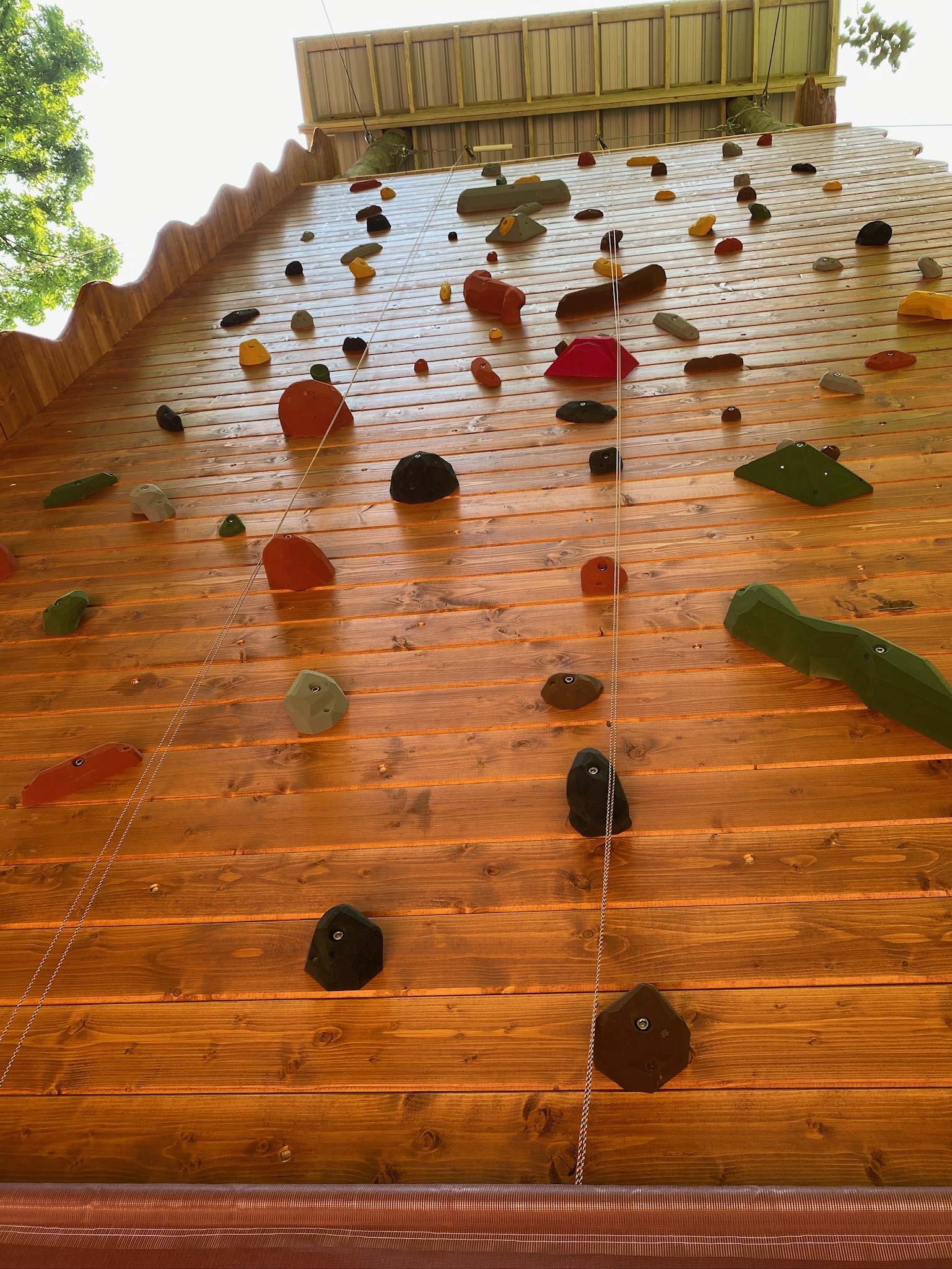 Program Design & Installation - High 5 Adventure Learning Center